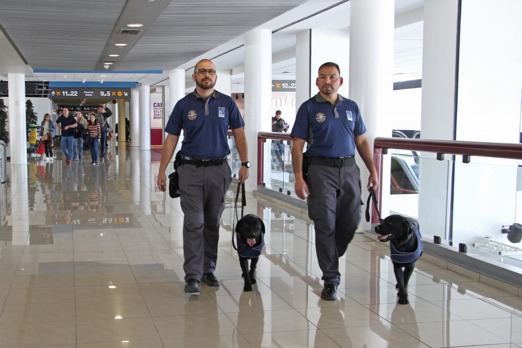 DGAC: PROTEGIENDO TU VUELO – DGAC | Dirección General de Aeronáutica Civil